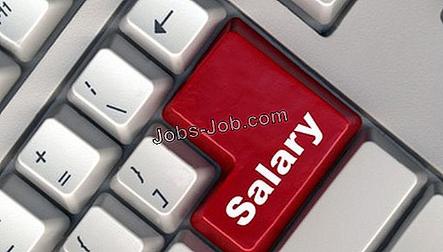 Deskripsi Pekerjaan Untuk Petugas Tally | Deskripsi pekerjaan - 2026