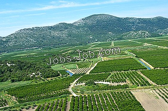 Elenco Delle Risorse Naturali Del Nevada | Descrizione del lavoro - 2026