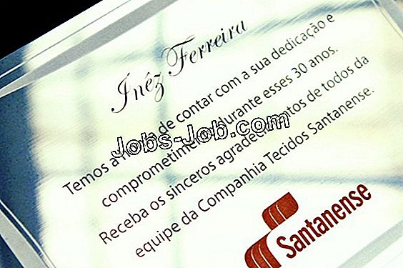 Como Escrever Um Empregado Para Insubordina o Promo o 2023
