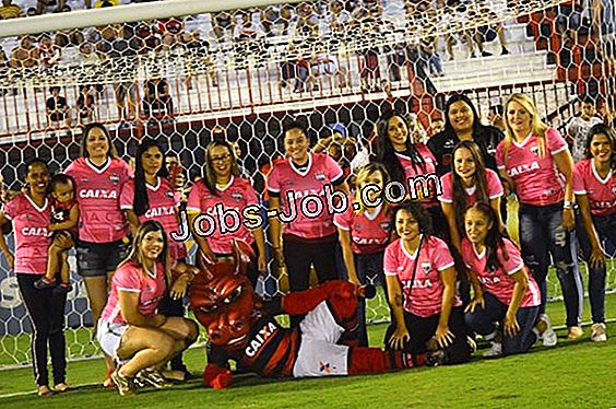 como-fazer-uma-programa-o-semanal-descri-o-do-trabalho-2022